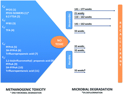 Microbial toxicity and biodegradability of perfluorooctane sulfonate ...