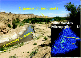 Uranium mobility and accumulation along the Rio Paguate, Jackpile Mine ...