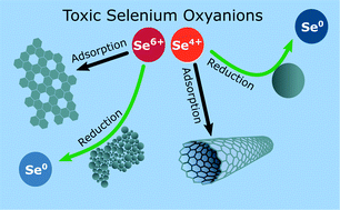Emerging nanomaterials for the application of selenium removal for ...