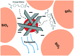 Cellulose nanocrystal zero-valent iron nanocomposites for groundwater ...