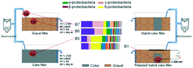 Microbial electrochemical systems outperform fixed-bed biofilters in ...