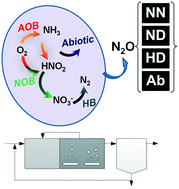A consilience model to describe N2O production during biological N ...