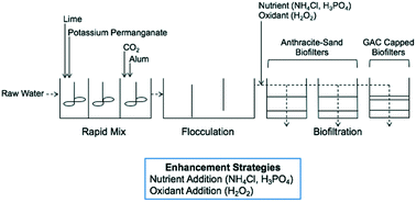 Water quality and filter performance of nutrient-, oxidant- and media ...