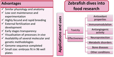 Zebrafish dives into food research: effectiveness assessment of ...