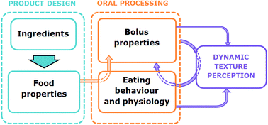 Bolus matters: the influence of food oral breakdown on dynamic texture ...