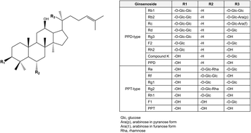 Compound K derived from ginseng: neuroprotection and cognitive ...