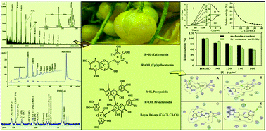 Proanthocyanidins purified from fruit pericarp of Clausena lansium ...