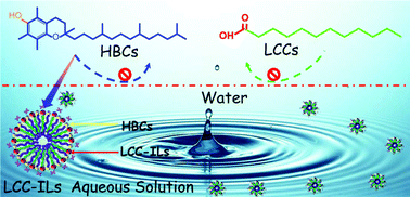 Enhanced solubilization and extraction of hydrophobic bioactive ...