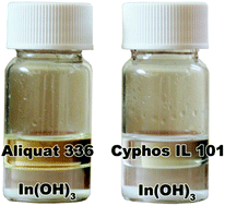 Purification of indium by solvent extraction with undiluted ionic ...