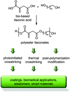 Itaconic acid – a versatile building block for renewable polyesters ...