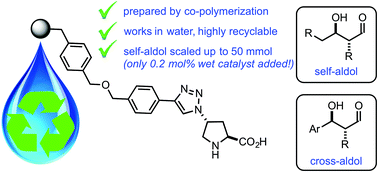 Asymmetric cross- and self-aldol reactions of aldehydes in water with a ...