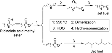 Selective conversion of castor oil derived ricinoleic acid methyl ester ...