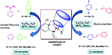 A pyridinium modified β-cyclodextrin: an ionic supramolecular ligand ...