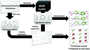 Alarms about structural alerts - Green Chemistry (RSC Publishing)