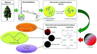 Solvent from forestry biomass. Pinane a stable terpene derived from ...