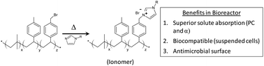 Isobutylene-rich imidazolium ionomers for use in two-phase partitioning ...