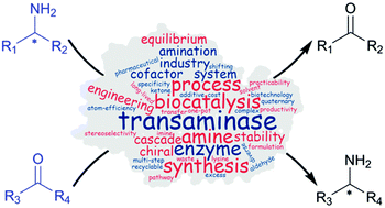 Transaminase biocatalysis: optimization and application - Green ...