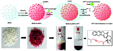 Efficient synthesis of camptothecin propargylamine derivatives in water ...
