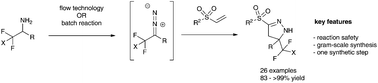 Difluoro- and trifluoro diazoalkanes – complementary approaches in ...