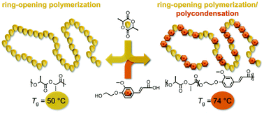 Copolymerization of lactones and bioaromatics via concurrent ring ...