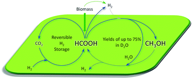 Aqueous phase homogeneous formic acid disproportionation into methanol ...
