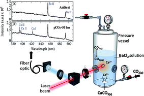 In situ measurements of calcium carbonate dissolution under rising CO2 ...