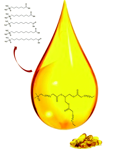 Arsenic containing medium and long chain fatty acids in marine fish oil ...