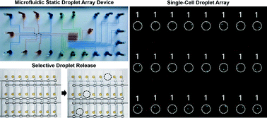 A highly addressable static droplet array enabling digital control of a ...