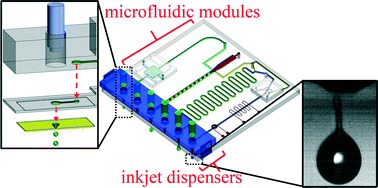 Design, microfabrication, and characterization of a moulded PDMS/SU-8 ...
