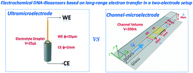 Electrochemical DNA biosensors based on long-range electron transfer ...