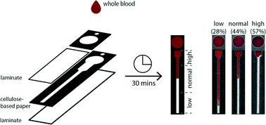 Measurement of the hematocrit using paper-based microfluidic devices ...