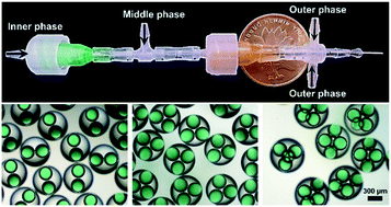 Simple and reusable off-the-shelf microfluidic devices for the ...