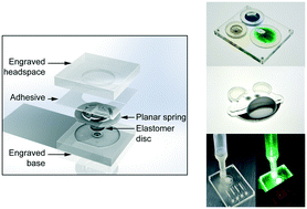 A simple check valve for microfluidic point of care diagnostics - Lab ...