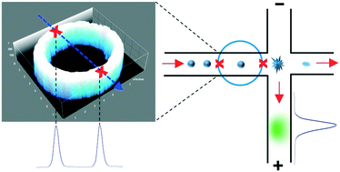 Out-of-plane integration of a multimode optical fiber for single ...