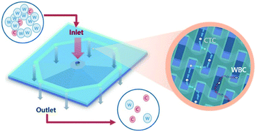 Dual-patterned immunofiltration (DIF) device for the rapid efficient ...
