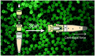 Centrifugal micro-channel array droplet generation for highly parallel digital PCR - Lab on a ...