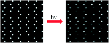 Photobleaching kinetics-based bead encoding for multiplexed bioassays ...