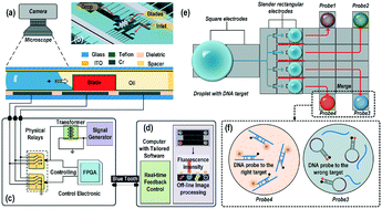 A 3D microblade structure for precise and parallel droplet splitting on ...