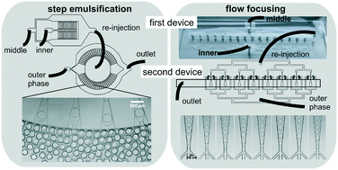 Tandem emulsification for high-throughput production of double ...