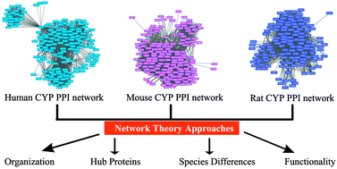 Network analysis and cross species comparison of protein–protein ...