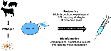 High-throughput proteomics and the fight against pathogens - Molecular ...
