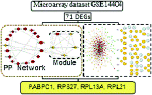 A systems approach for the elucidation of crucial genes and network ...