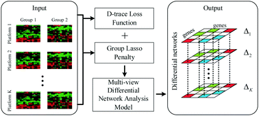 Identifying differential networks based on multi-platform gene ...