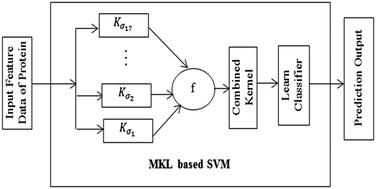 Protein subcellular localization prediction using multiple kernel ...