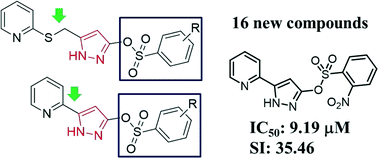 Design and synthesis of pyridine-pyrazole-sulfonate derivatives as ...