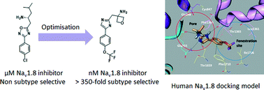 Discovery and optimisation of potent and highly subtype selective Nav1 ...