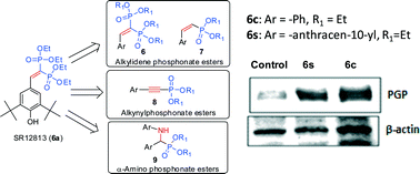 Design, synthesis and P-gp induction activity of aryl phosphonate ...