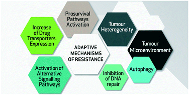 Adaptive mechanisms of resistance to anti-neoplastic agents ...