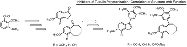 Synthesis and biological evaluation of benzocyclooctene-based and ...
