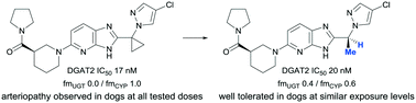 Small structural changes of the imidazopyridine diacylglycerol ...